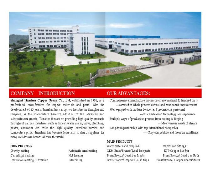 Καλή απόδοση πλινθωμάτων CB770S CC770S ορείχαλκου σφυρηλατημένων ...